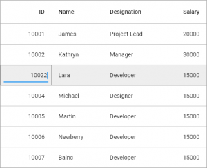 Introducing Editing Functionality in Flutter DataGrid | Syncfusion Blogs