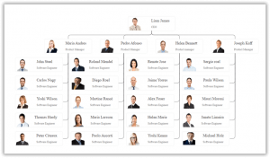 Create an Org Chart to Elegantly Visualize Hierarchical Data using ...