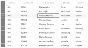 Personalize Your WinUI DataGrid: Quick and Simple Customization Techniques