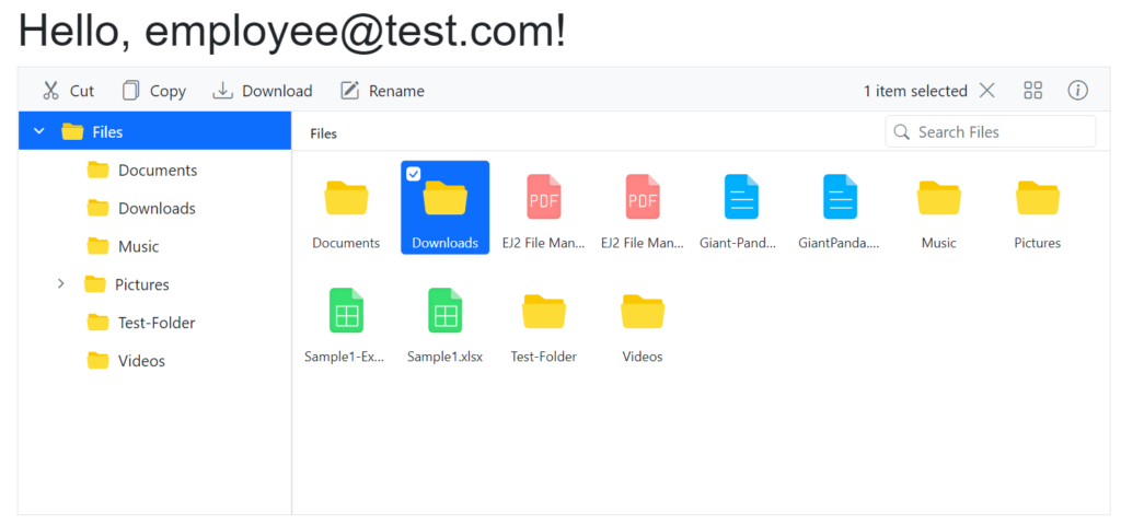 Role-Based Authorization in Blazor File Manager: An Overview