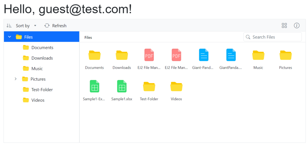 Role-Based Authorization in Blazor File Manager: An Overview