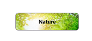 Introducing the new .NET MAUI Button Control