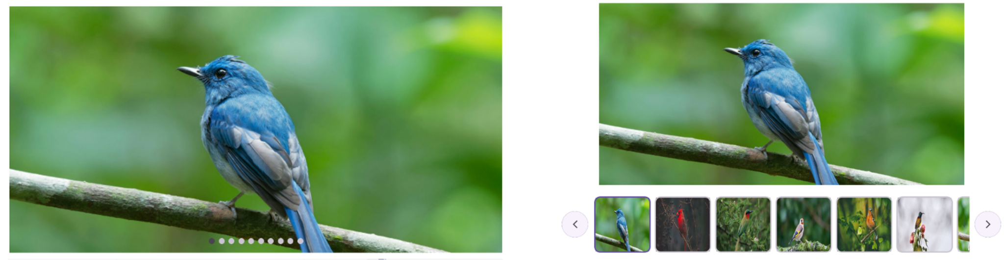 Introducing the New .NET MAUI Rotator Control