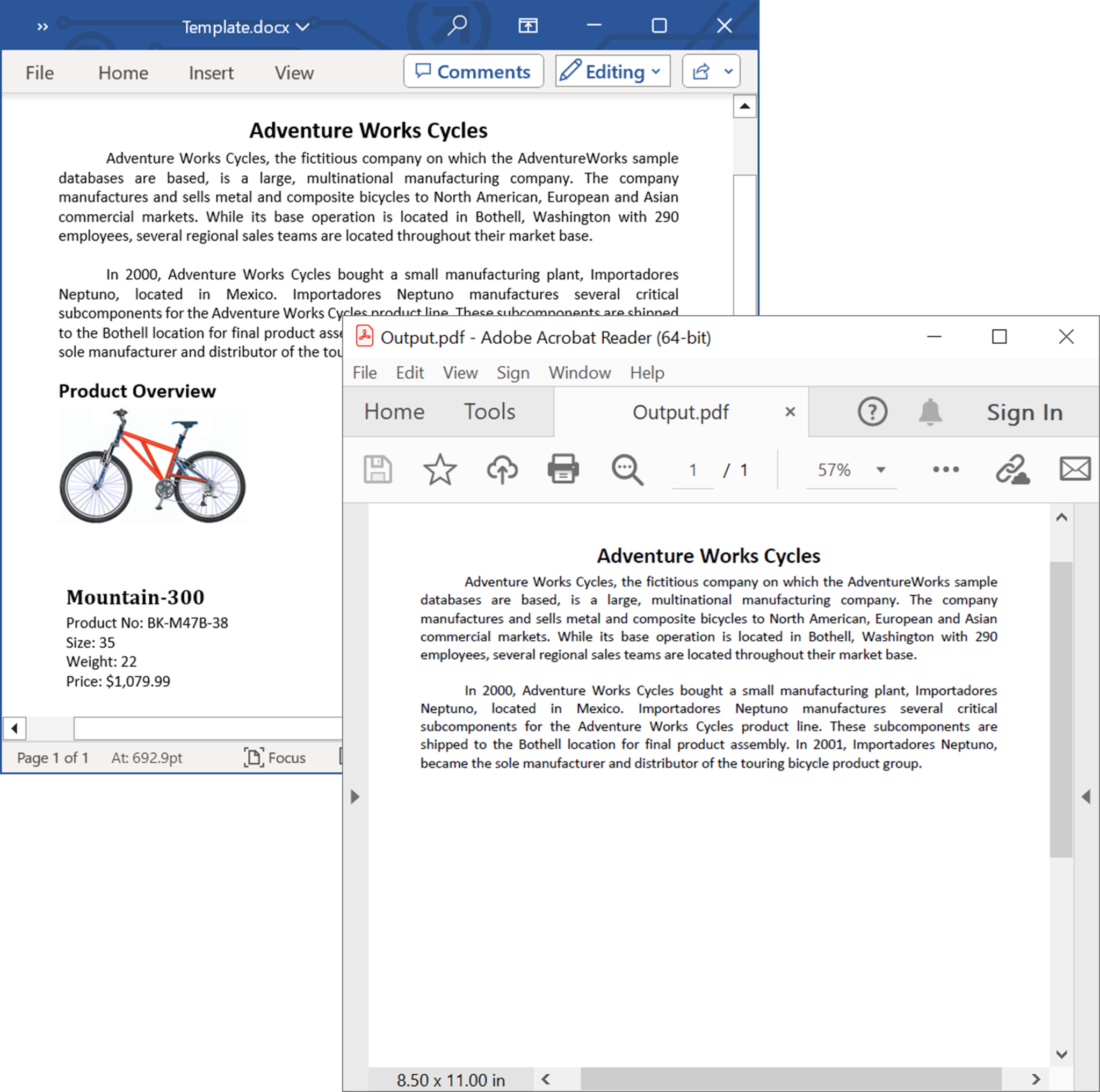 How to Convert Word to PDF in C# with Advanced Formatting Options ...