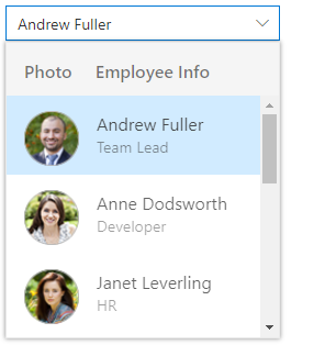 Angular Dropdown List | Custom Select Filter | Syncfusion