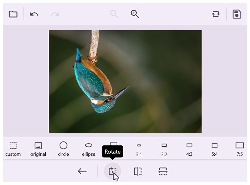 .NET MAUI Image Editor Control | Flexible Image Editing | Syncfusion