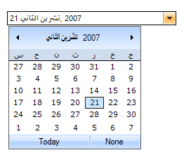 Advanced Date-Time Picker Control for Windows Forms | Syncfusion