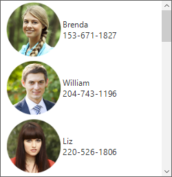 WinForms ListView Control | Windows Forms ListBox | Syncfusion