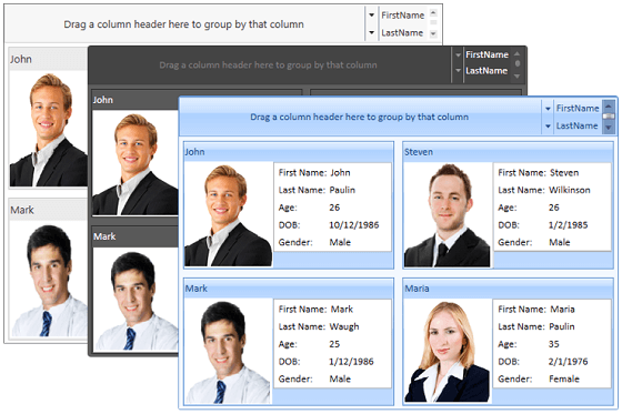 WPF CardView Control | Business Card Layout | Syncfusion
