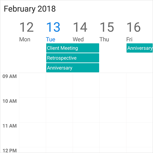 Appointments (Events) | Xamarin.Android Scheduler Control | Syncfusion