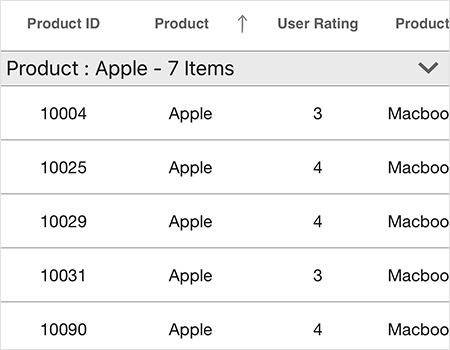 Xamarin.iOS DataGrid | High-Performance Grid control | Syncfusion