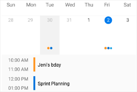 Appointments (Events) | Xamarin.iOS Scheduler Control | Syncfusion
