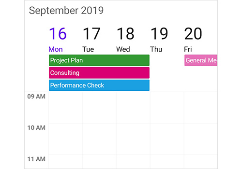 Appointments (Events) | Xamarin Scheduler Control | Syncfusion